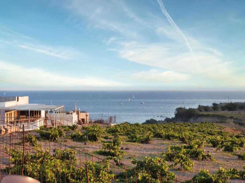 Akrotiri: Guided Horseback Riding Day Trip to a Beach - Authenticity and Customer Experience