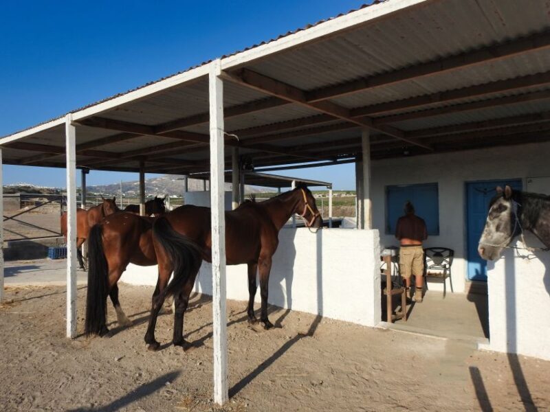Akrotiri: Guided Horseback Riding Day Trip to a Beach - FAQ