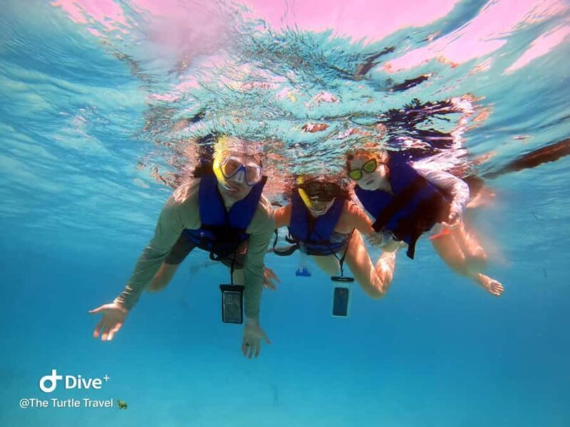 Akumal Beach: Ecologic Turtle Snorkeling Tour & Gopro Photos - What Travelers Love Most