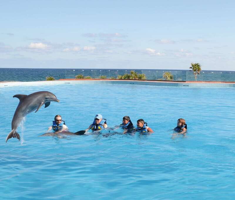 Akumal: Dolphin Encounter - The Itinerary: What Does the Day Look Like?