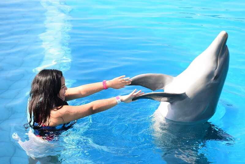 Akumal: Dolphin Encounter - What Do Travelers Say?