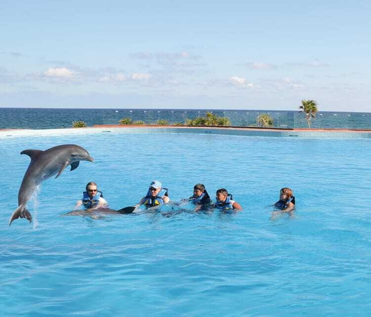 Akumal: Dolphin Encounter - The Value of This Tour