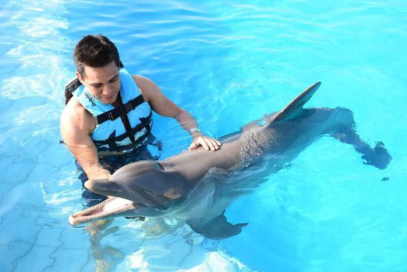 Akumal: Dolphin Encounter - Who Should Book This Experience?