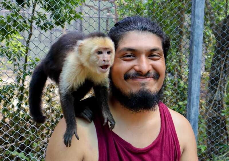 Akumal: Explore the Monkey Sanctuary, ATV Circuit and Cenote - Key Points