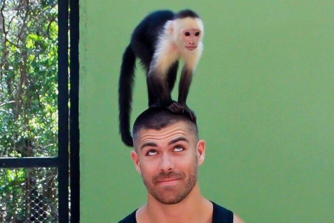 Akumal Monkey Sanctuary - FAQ