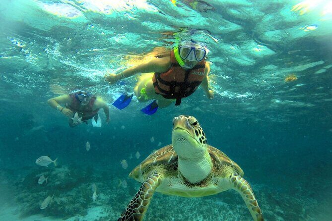 Akumal paradise tour Swimming with Turtles & ancient Tulum Ruins. Lunch included - Exploring the Itinerary in Detail