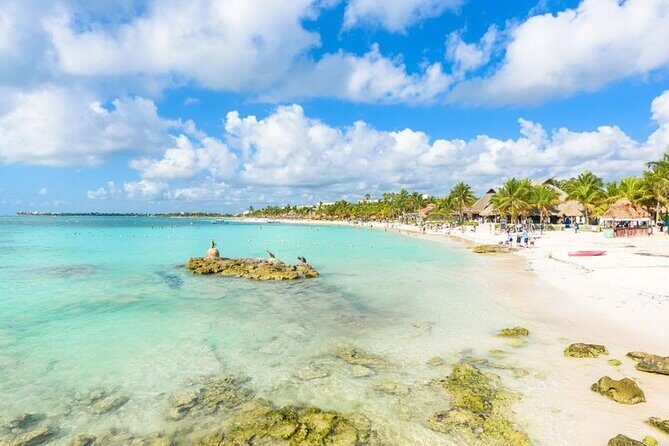 Akumal Reef Snorkel and Turtle Sanctuary From Riviera Maya - Who It’s Best For