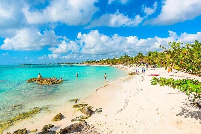 Akumal Reef Snorkel and Turtle Sanctuary From Riviera Maya - Frequently Asked Questions