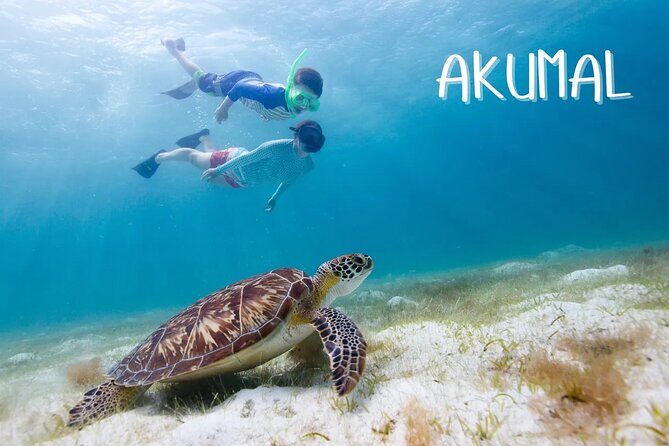 Akumal Reef Snorkel and Turtle Sanctuary From Riviera Maya - Final Thoughts