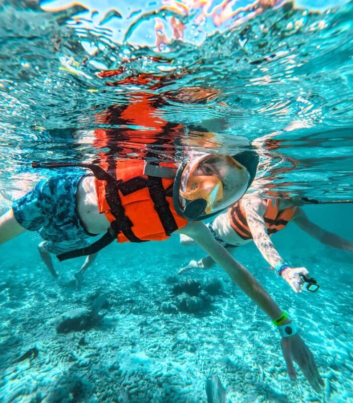 Akumal: Sea Turtles Snorkeling Tour with Park Entry Fee - Frequently Asked Questions