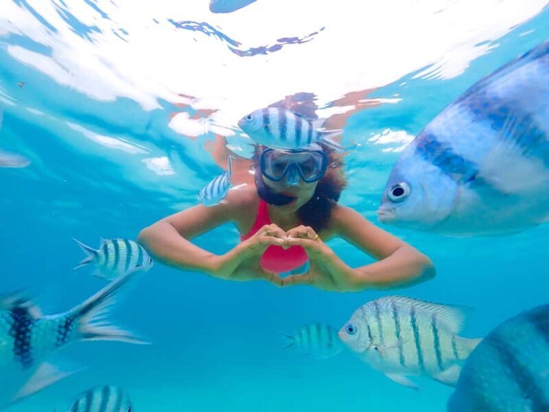 Akumal: Snorkeling Adventure with Turtles and Marine Life - A Detailed Look at the Tour Experience