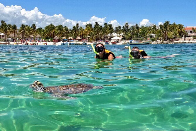 Akumal; Snorkeling and Photos with Turtles - Key Points