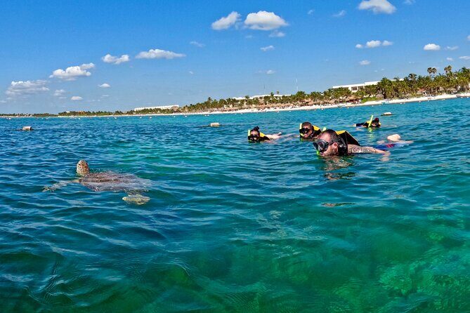 Akumal; Snorkeling and Photos with Turtles - Final Thoughts: Who Will Love This Tour?