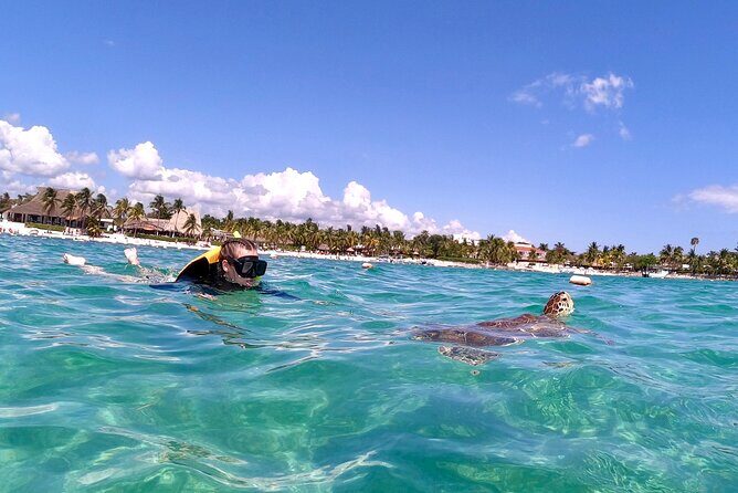 Akumal; Snorkeling and Photos with Turtles - FAQs