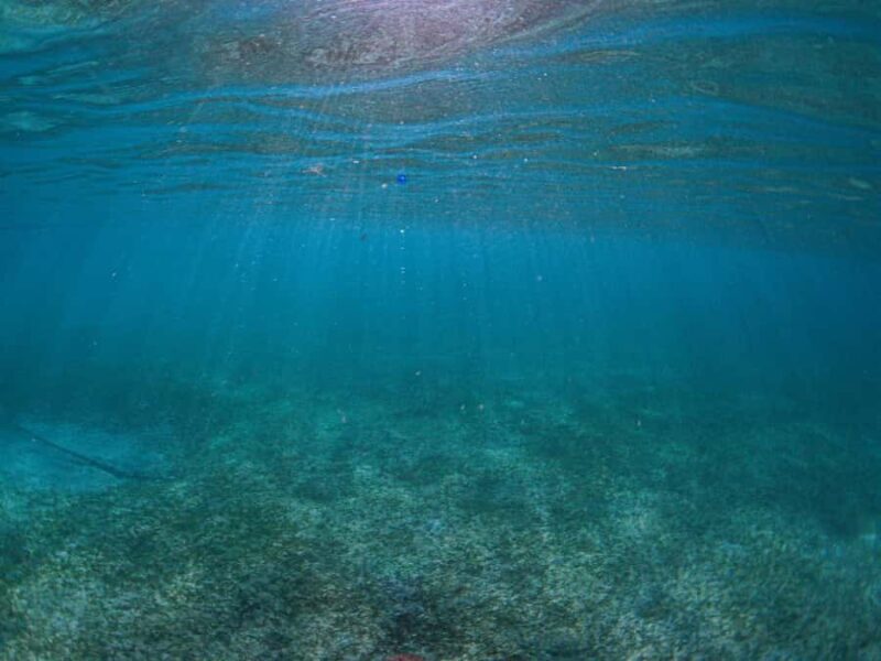 Akumal: Snorkeling and Turtle Watching Tour - FAQ: Your Practical Questions Answered