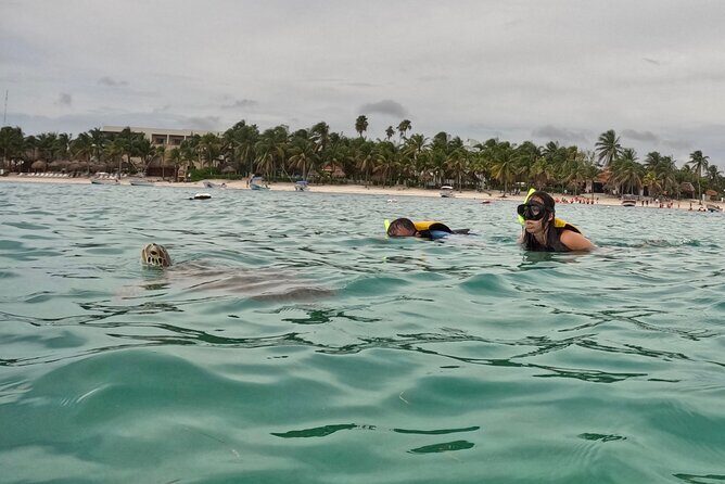 Akumal; Snorkeling with The Sea Turtles - FAQs