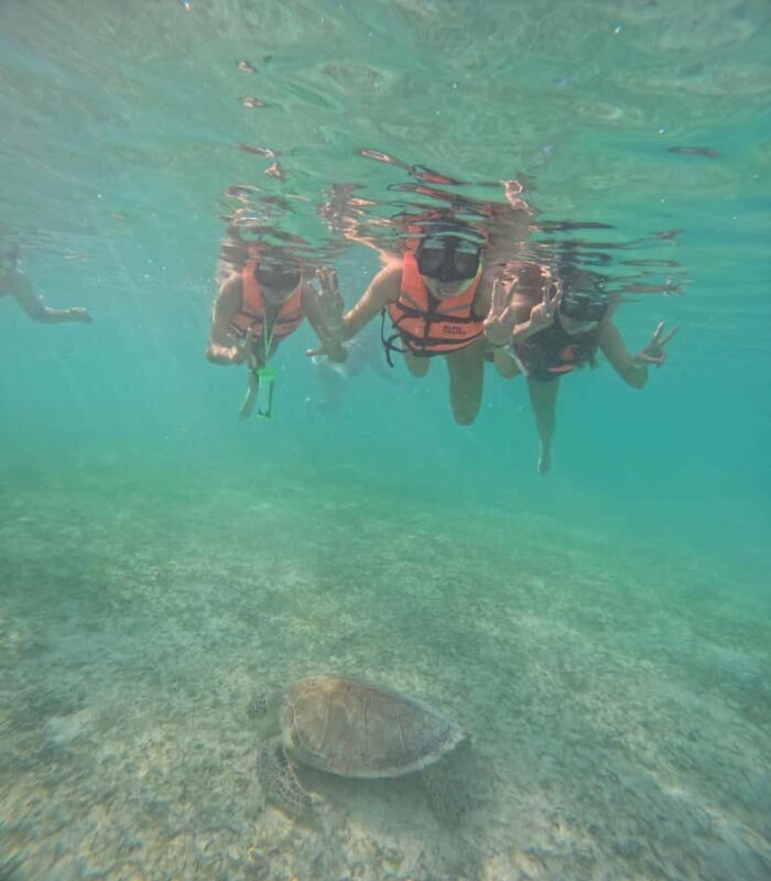 Akumal: Swim in Yalkuito and a cenote water outlet + Snorkel with turtles - What to Expect from the Tour