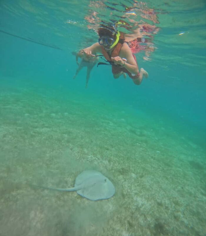 Akumal: Swim in Yalkuito and a cenote water outlet + Snorkel with turtles - Why This Tour Delivers Real Value