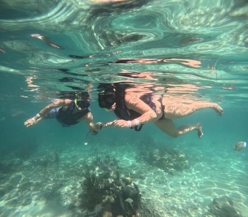 Akumal: Swim with sea turtles and coral reefs. - Exploring the Akumal Turtle Snorkeling Tour: A Close Encounter with Nature