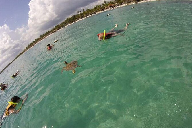 Akumal turtles sanctuary and go pro photos - Specifics and Practicalities