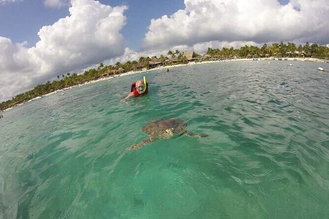 Akumal turtles sanctuary and go pro photos - Authentic Reviews and Personal Highlights