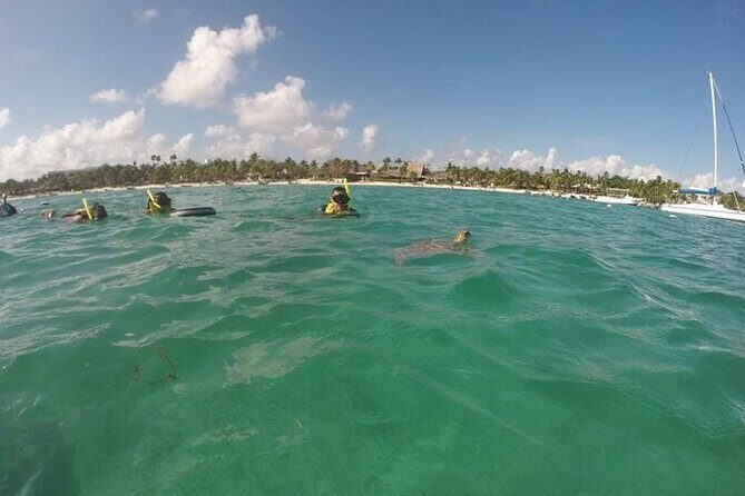 Akumal turtles sanctuary and go pro photos - The Sum Up: Is This Tour Right for You?