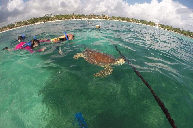 Akumal turtles sanctuary and go pro photos - FAQ