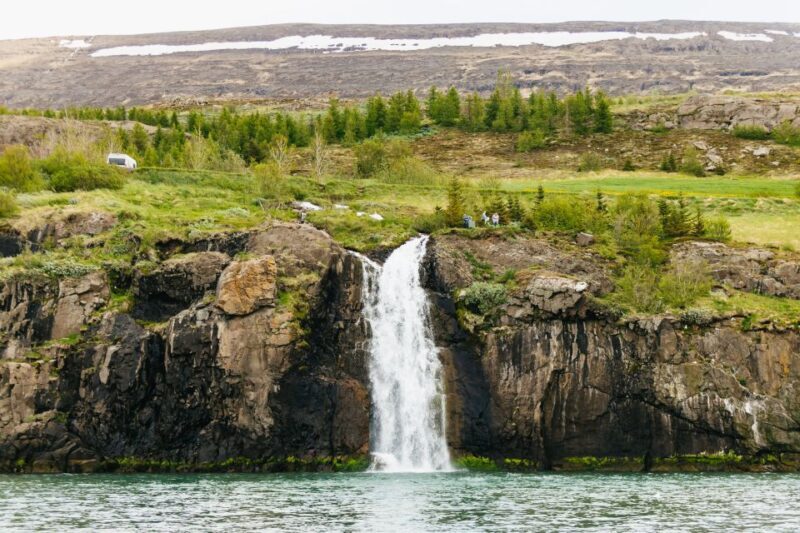 Akureyri: 3-Hour Classic Whale Watching Tour by Ship - Key Points
