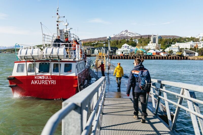 Akureyri: 3-Hour Classic Whale Watching Tour by Ship - Comfort and Convenience: What’s Included and What to Expect