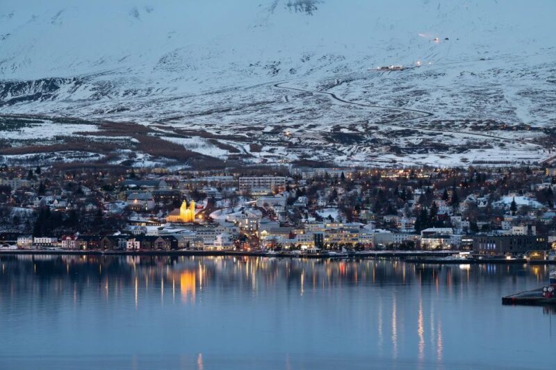 Akureyri: Arctic Coastline & Whale Watching - Authentic Experiences and Real Traveler Feedback