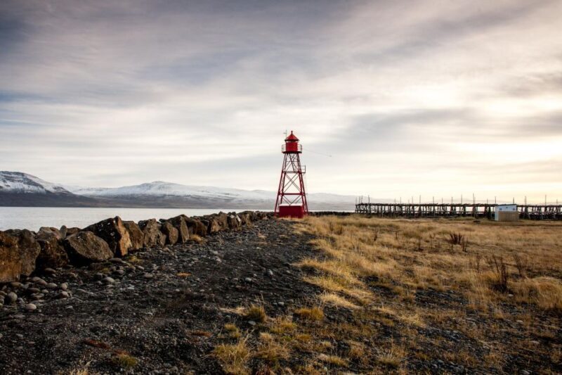 Akureyri: Arctic Coastline & Whale Watching - The Sum Up