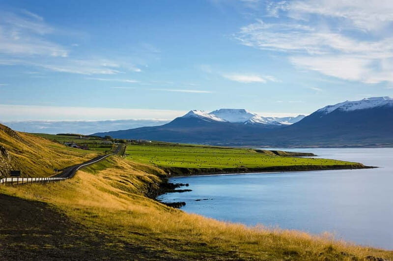 Akureyri: Dettifoss and Goðafoss Waterfalls Tour - The Sum Up