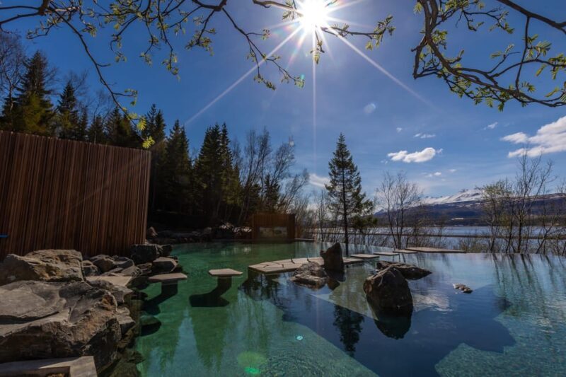 Akureyri: Forest Lagoon & Northern Lights Tour - The Sum Up
