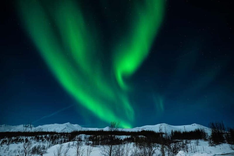 Akureyri: Northern Lights Hunt with Forest Lagoon Entry - Final Thoughts