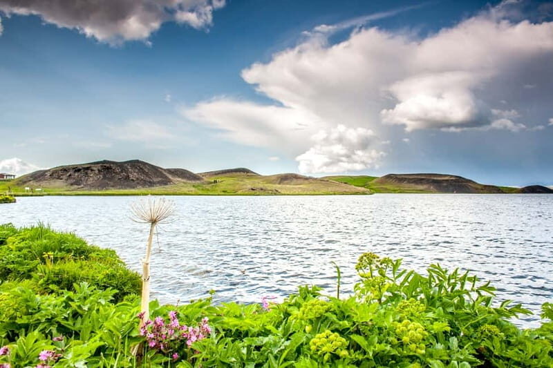 Akureyri Port: Lake Mývatn & Goðafoss Guided Tour with Lunch - Who Should Consider This Tour?