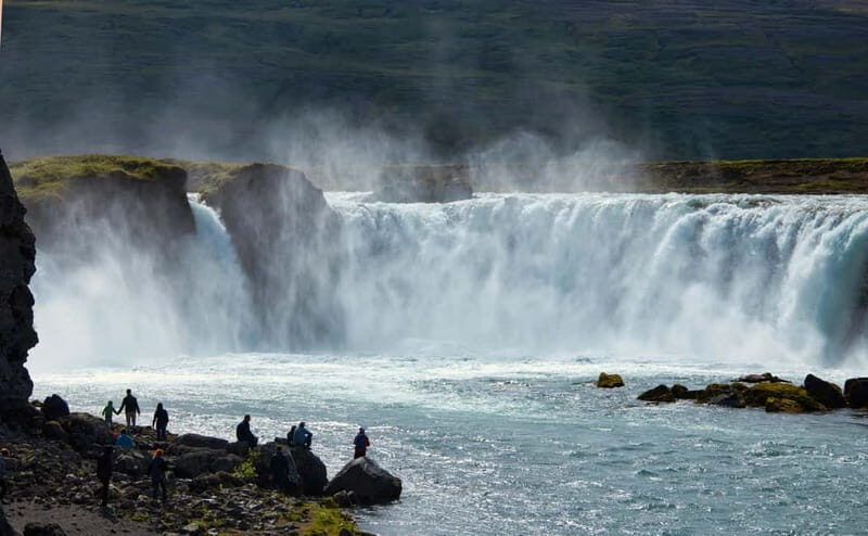 Akureyri: Private Whale Watching and Arctic Coastline Tour - Key Points
