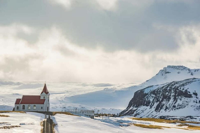 Akureyri: Private Whale Watching and Arctic Coastline Tour - Who Would Love This Tour?