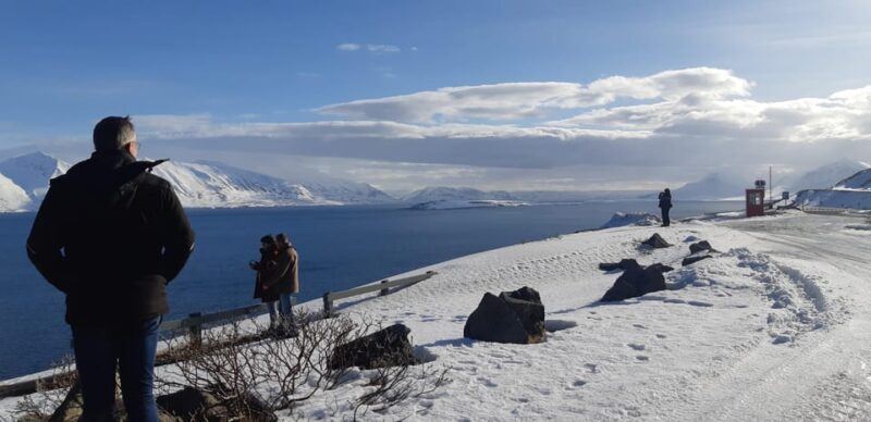 Akureyri-Siglufjörður; Half day to the arctic coastline - An In-Depth Look at the Tour Experience