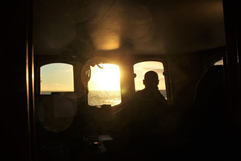 Akureyri: Whale Watching in the Midnight Sun - What You Can Expect from the Itinerary
