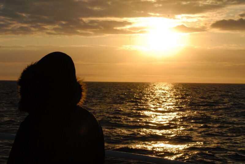 Akureyri: Whale Watching in the Midnight Sun - FAQ