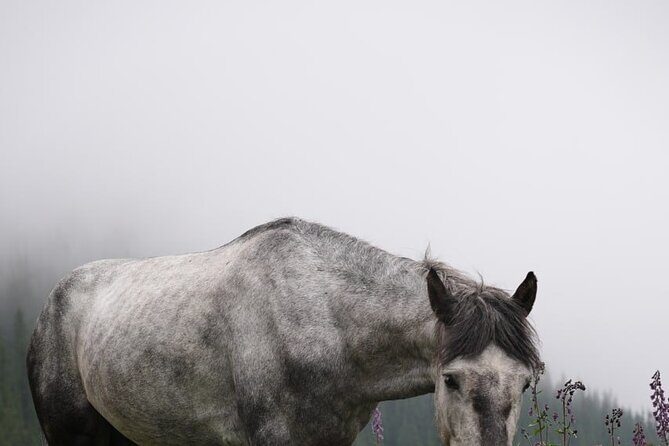 Ala Archa National Park Hike with Local Legend Guide - Final Thoughts
