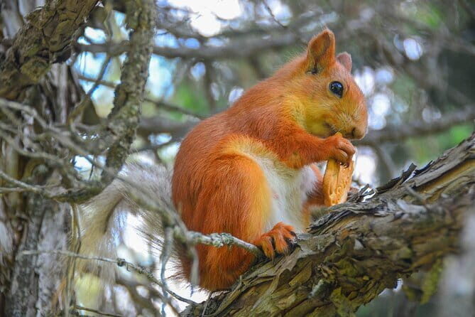 Ala Archa National Park: Scenic Small-Group Tour - Discovering Ala Archa National Park