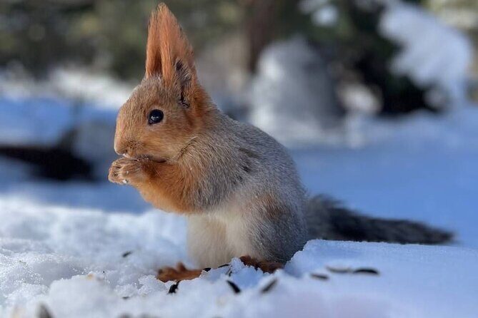 Ala Archa Nature Park Essential Tour - Introduction