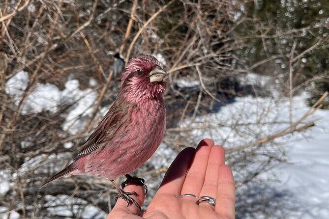 Ala Archa Nature Park Essential Tour - Exploring Ala Archa National Park: A Complete Guide