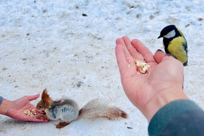 Ala Archa Nature Park Essential Tour - Who Will Love This Tour?