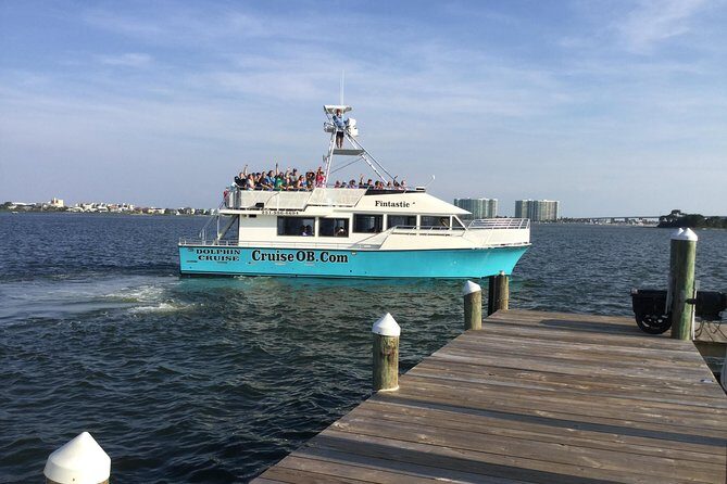 Alabama Gulf Coast Dolphin Cruise - Why This Dolphin Cruise Stands Out