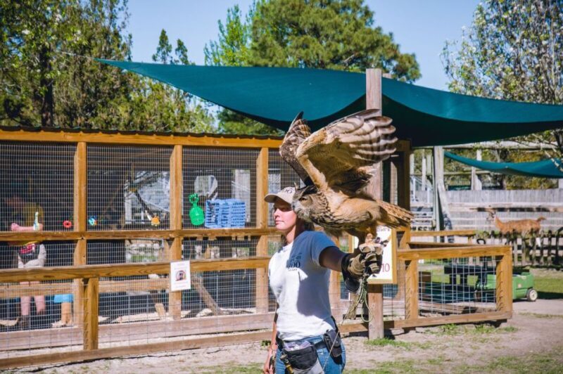 Alabama: Gulf Shores/Orange Beach Area Multi-Attraction Pass - In-Depth Look at Each Attraction