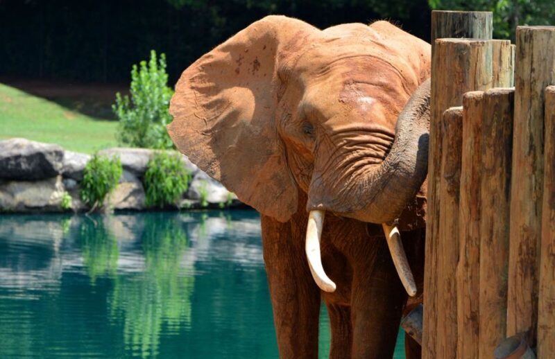 Alabama: Montgomery/Selma Area Multi-Attraction Pass - The Sum Up