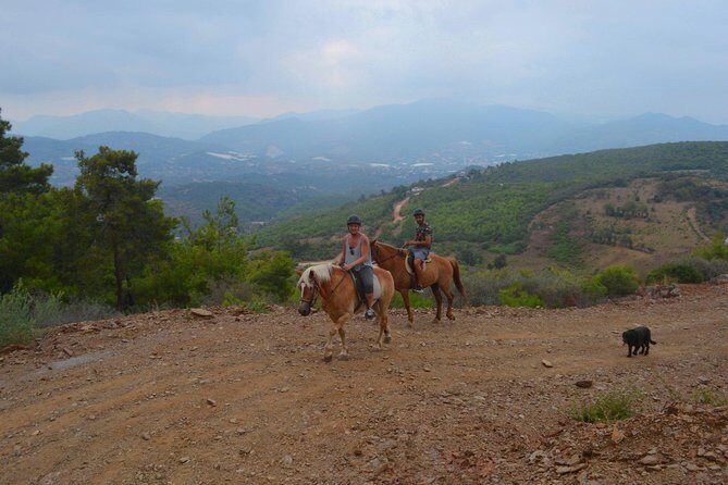 Alanya 3 Hour Horse Back Riding - A Closer Look at the Alanya 3 Hour Horse Back Riding Tour