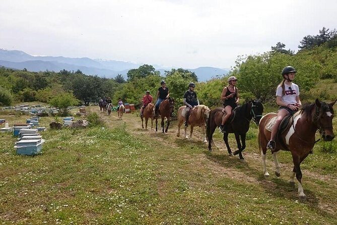 Alanya 3 Hour Horse Back Riding - Key Points